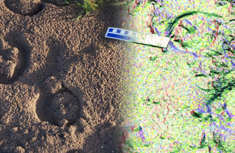 New data sets – Horse/Raindrops and a Welly footprint – Prof. Peter L ...