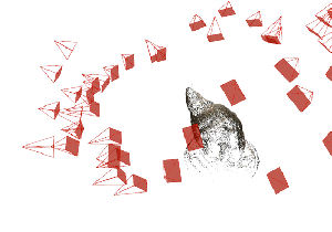 Photogrammetry Testing 8: COLMAP – Prof. Peter L. Falkingham