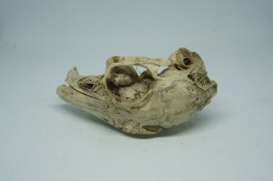 Small object photogrammetry – how to take photos – Prof. Peter L ...