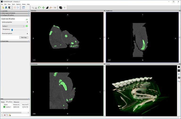 Free software for CT segmentation (2019) – Prof. Peter L. Falkingham