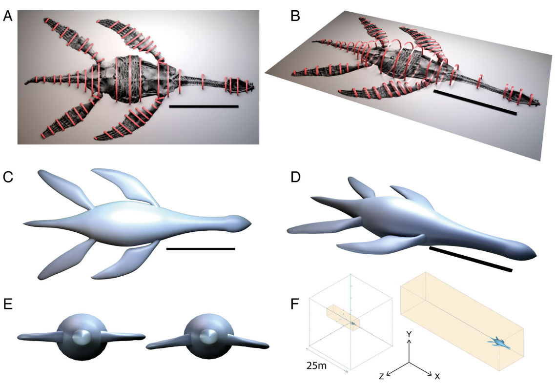 Publications from 2019 – Prof. Peter L. Falkingham