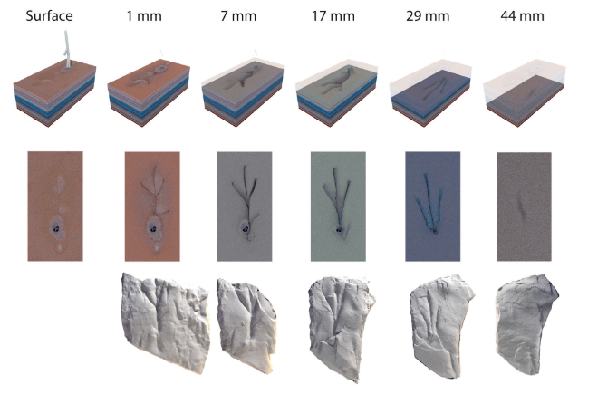 New paper: Constructing and testing hypotheses of dinosaur foot motion ...