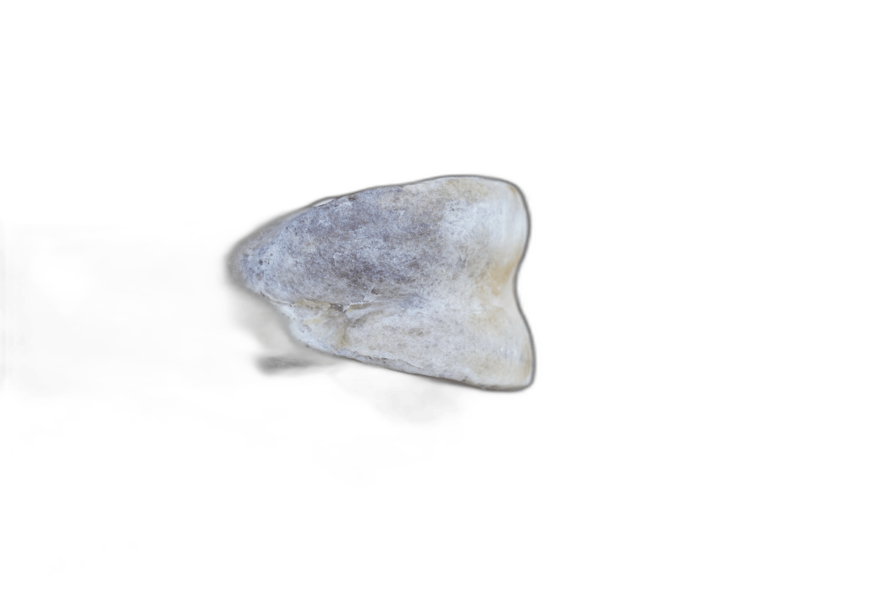 REMBG – a phenomenal AI-based background remover – Prof. Peter L ...