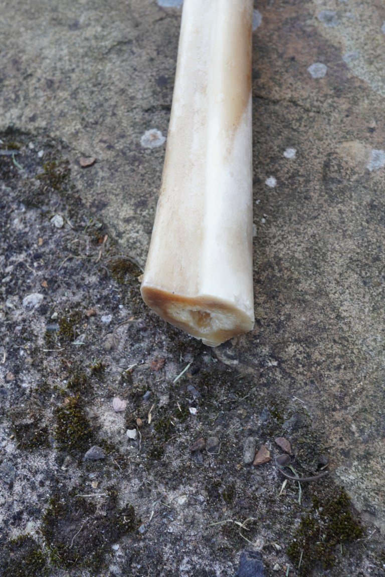 REMBG – a phenomenal AI-based background remover – Prof. Peter L ...