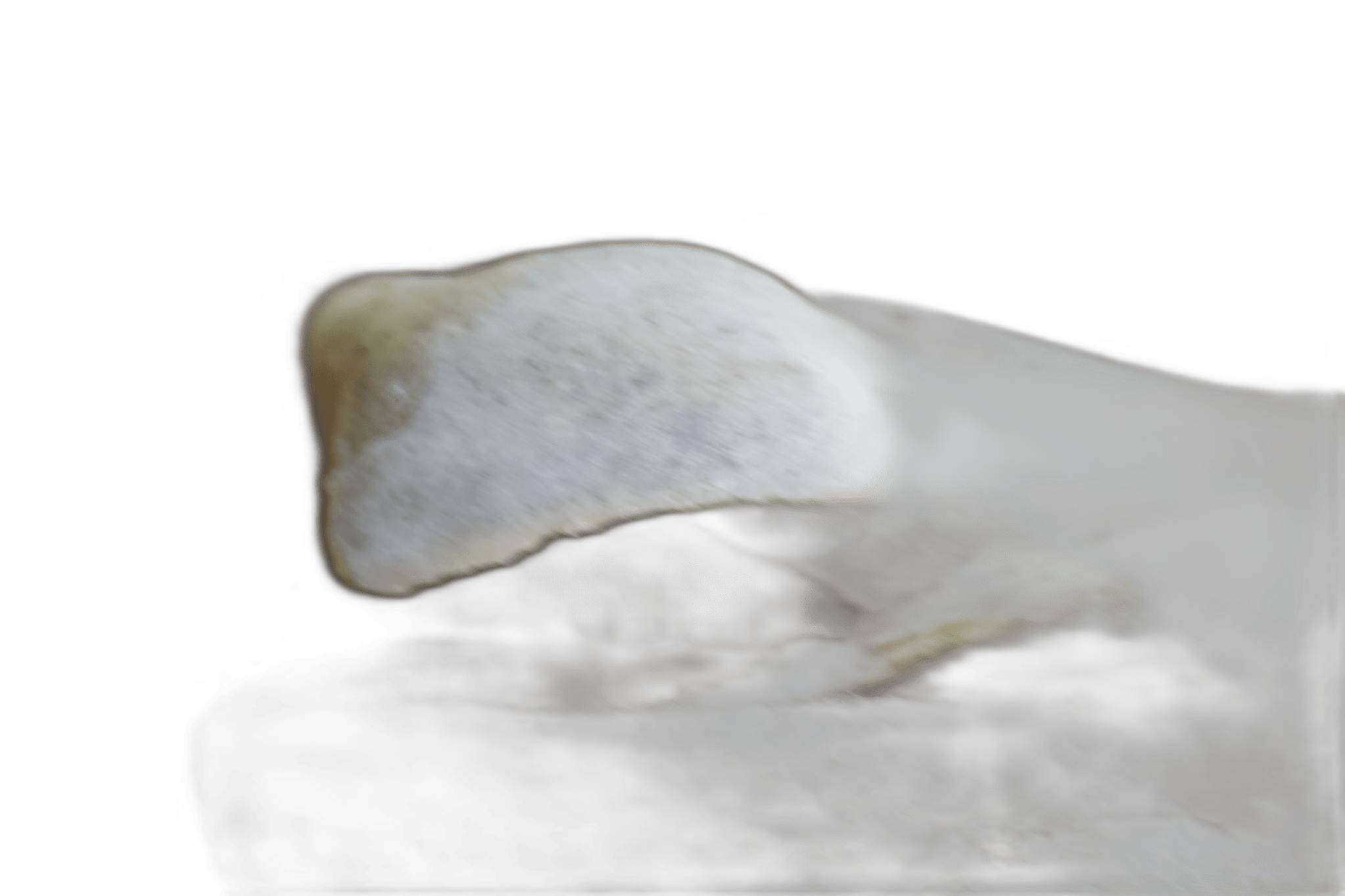 REMBG – a phenomenal AI-based background remover – Prof. Peter L ...