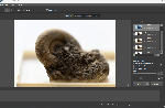 An Excellent Free and Open Source focus-stacking solution – Prof. Peter ...
