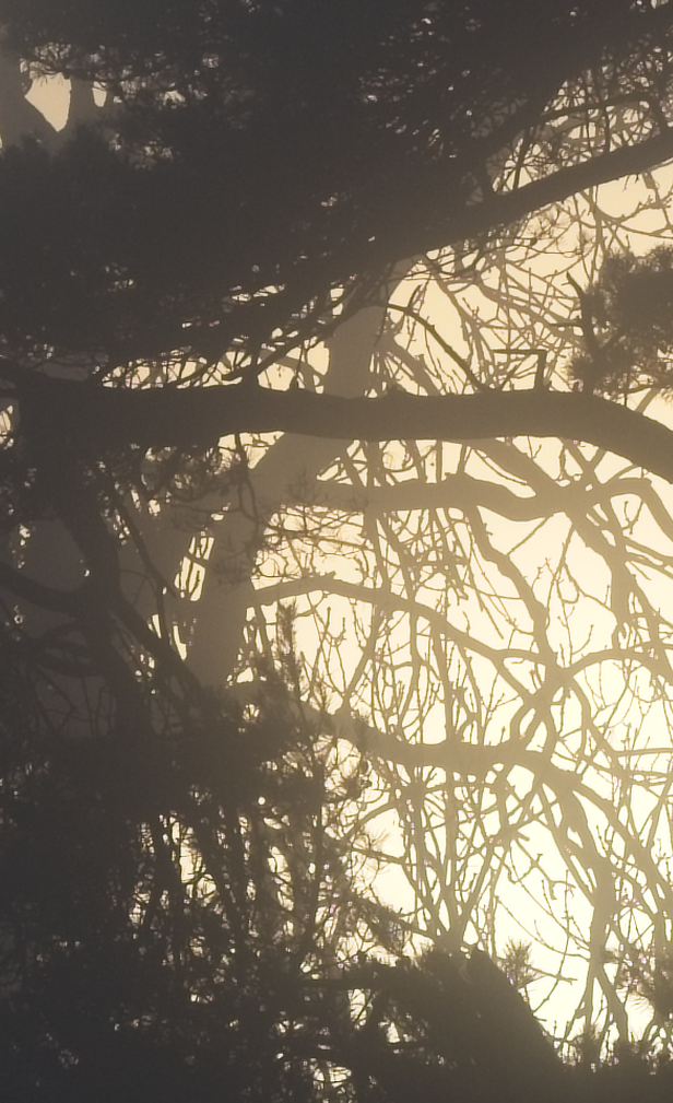 Modern image formats – which is best? Experimenting with .AVIF and .JXL ...